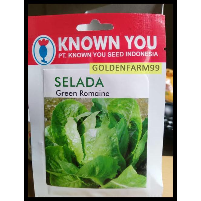 Jual Benih Bibit Selada Green Romaine Original Packing Harga Murah | Shopee Indonesia