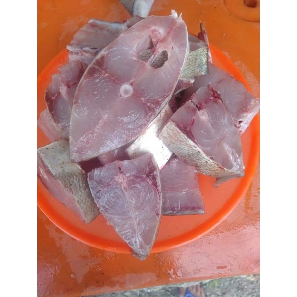 Jual Ikan kuwe Tengkek segar harian 1kg | Shopee Indonesia