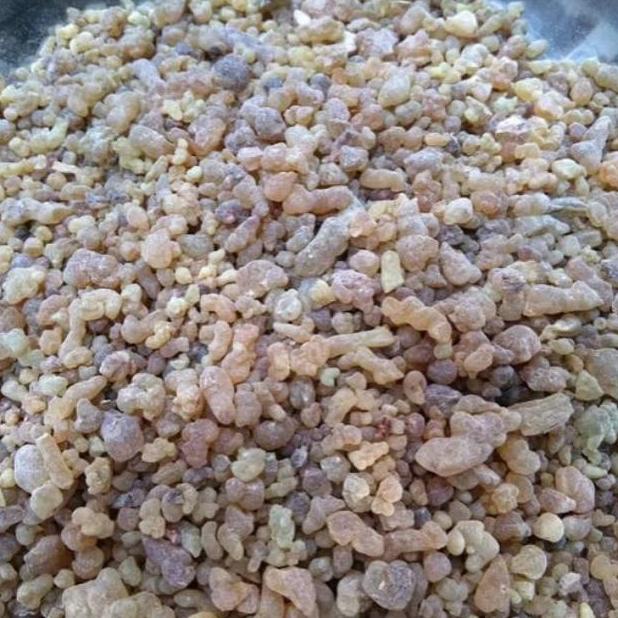 Jual !!!!!!] Luban ASLI ARAB - Luban Dakar Mustaqi Luban Dupa Bukhur ...