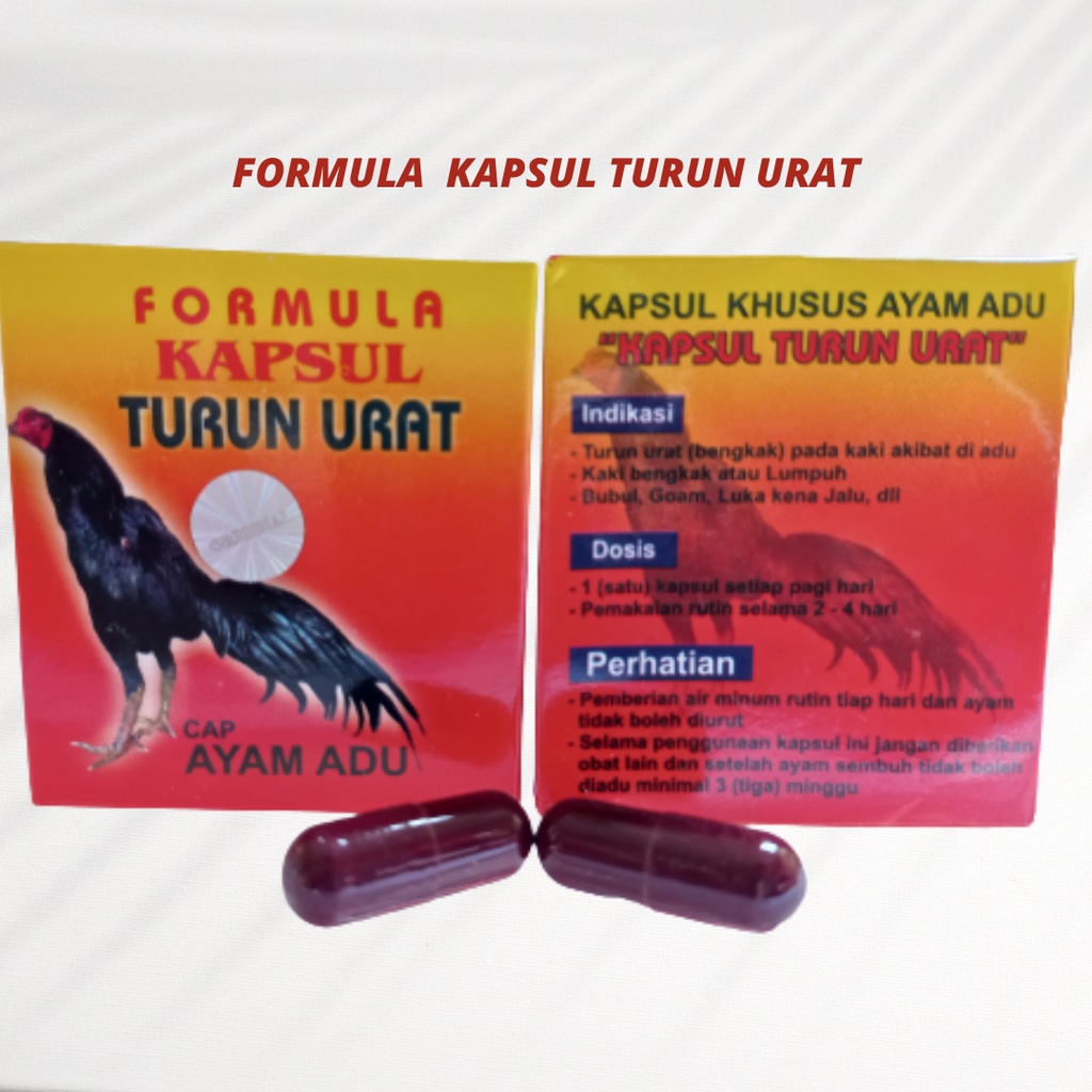 Jual KAPSUL TURUN URAT AYAM | Shopee Indonesia