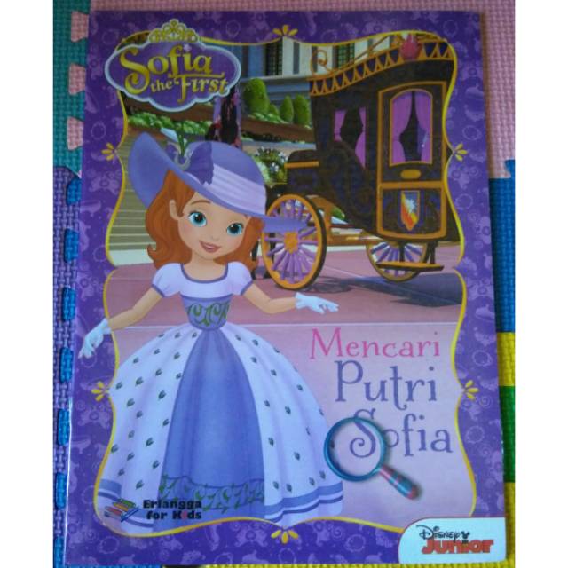 Jual Buku Mencari Putri Sofia | Shopee Indonesia