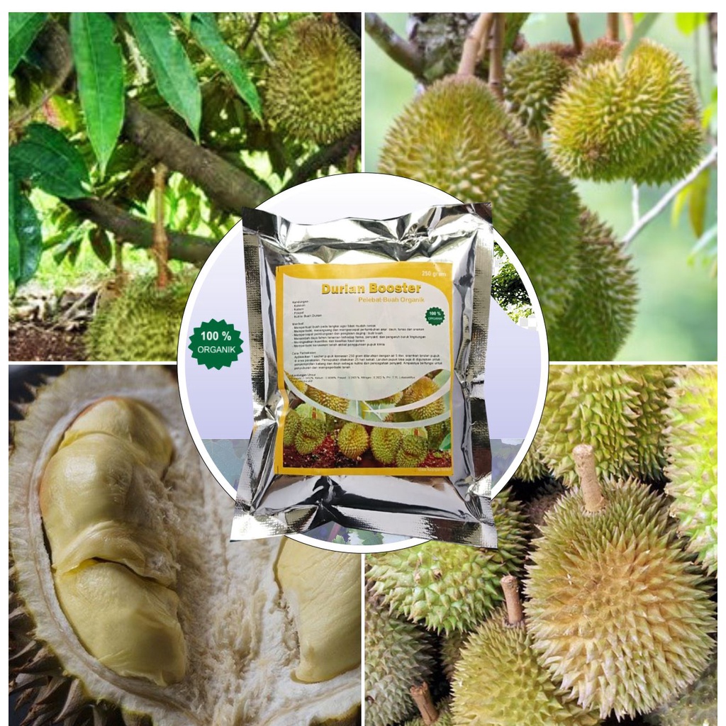 Jual Pupuk Organik Booster Durian Perangsang Buah Serbuk Terbaik Ampuh Agar Cepat Berbuah Lebat ...