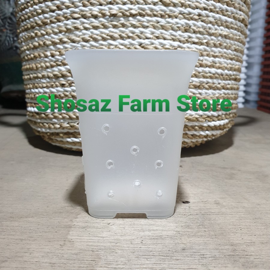 Jual (LUSINAN 12 BH) Pot Kotak NKT 7 Jouss Bening Transparan Berlubang ...