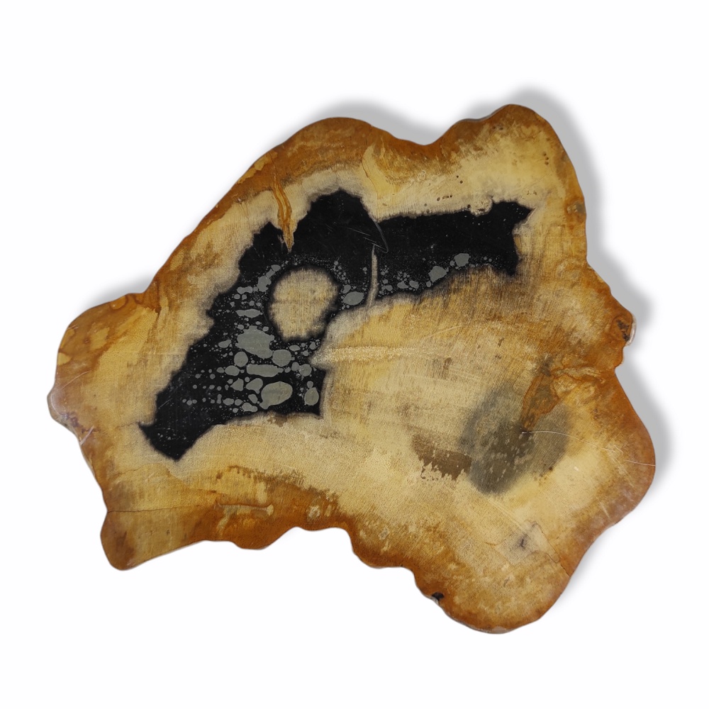 Jual Slice Natural Petrified Wood - Fosil Kayu Slice 208GR | Shopee ...