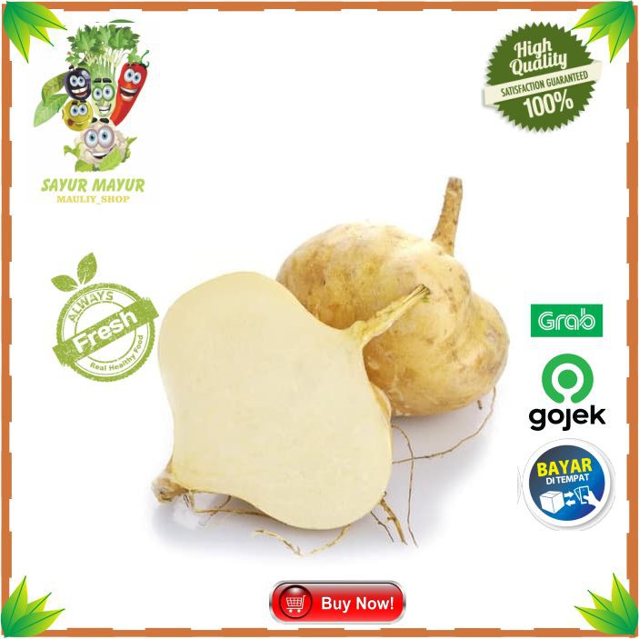 Jual Buah Bengkoang Segar Buah Bengkoang Bahan Rujak Buah 1kg | Shopee ...