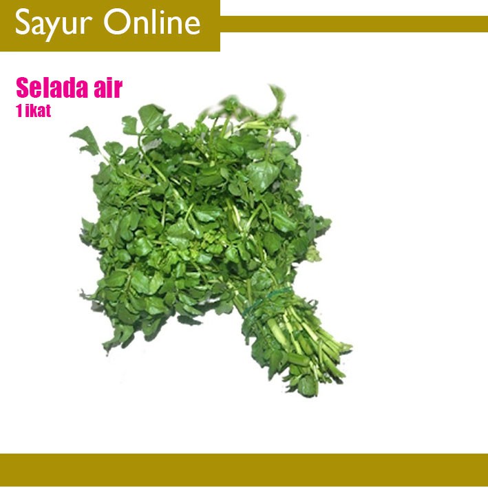 Jual SELADA AIR SAYUR [1 Ikat] | Shopee Indonesia