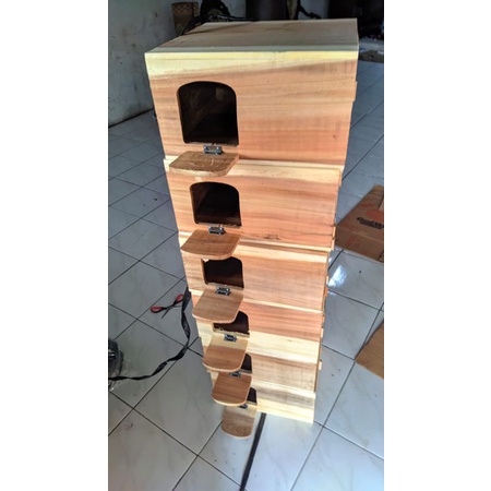 Jual Gupon Merpati Rumah Burung Dara terlaris | Shopee Indonesia