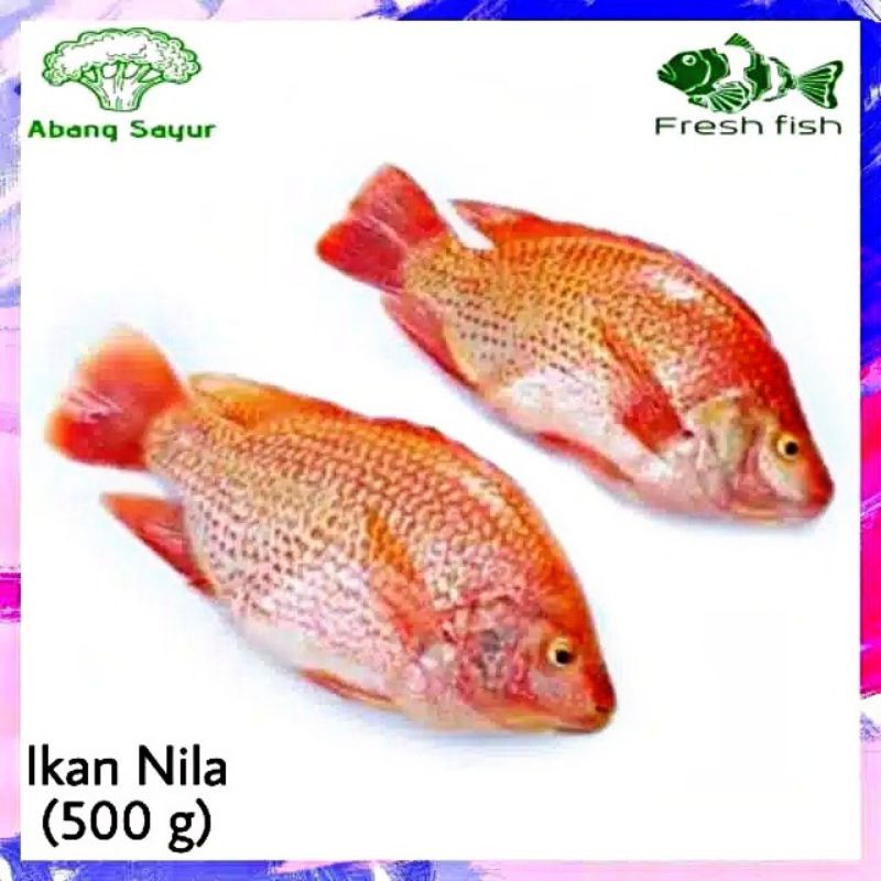 Jual Ikan Nila Merah 500gr | Shopee Indonesia