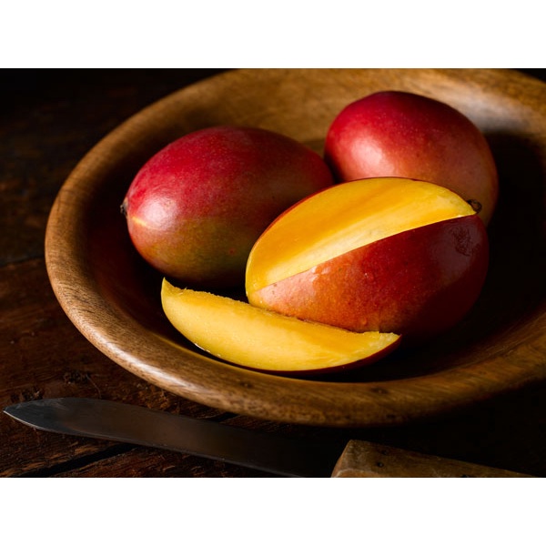 Jual Bibit Mangga Red Emperor (1 METER BATANG BESAR) | Shopee Indonesia