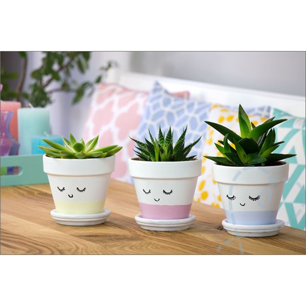 Jual POT LUKIS EMOTICON UK 8 CM TANAMAN KAKTUS SUKULEN CLAYPOT LUCU ...