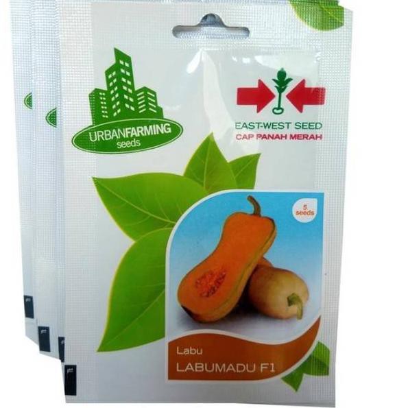 Jual Dikirim Hari ini Benih Bibit Labu LABU MADU F1( UF ) Benih ...