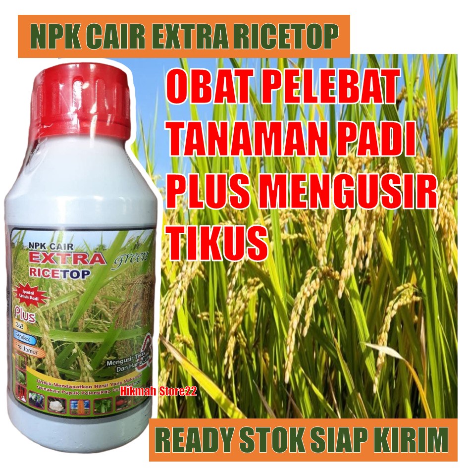 Jual COD RICE TOP 500 ML Merangsang Pertumbuhan Pada Tanaman Padi ...