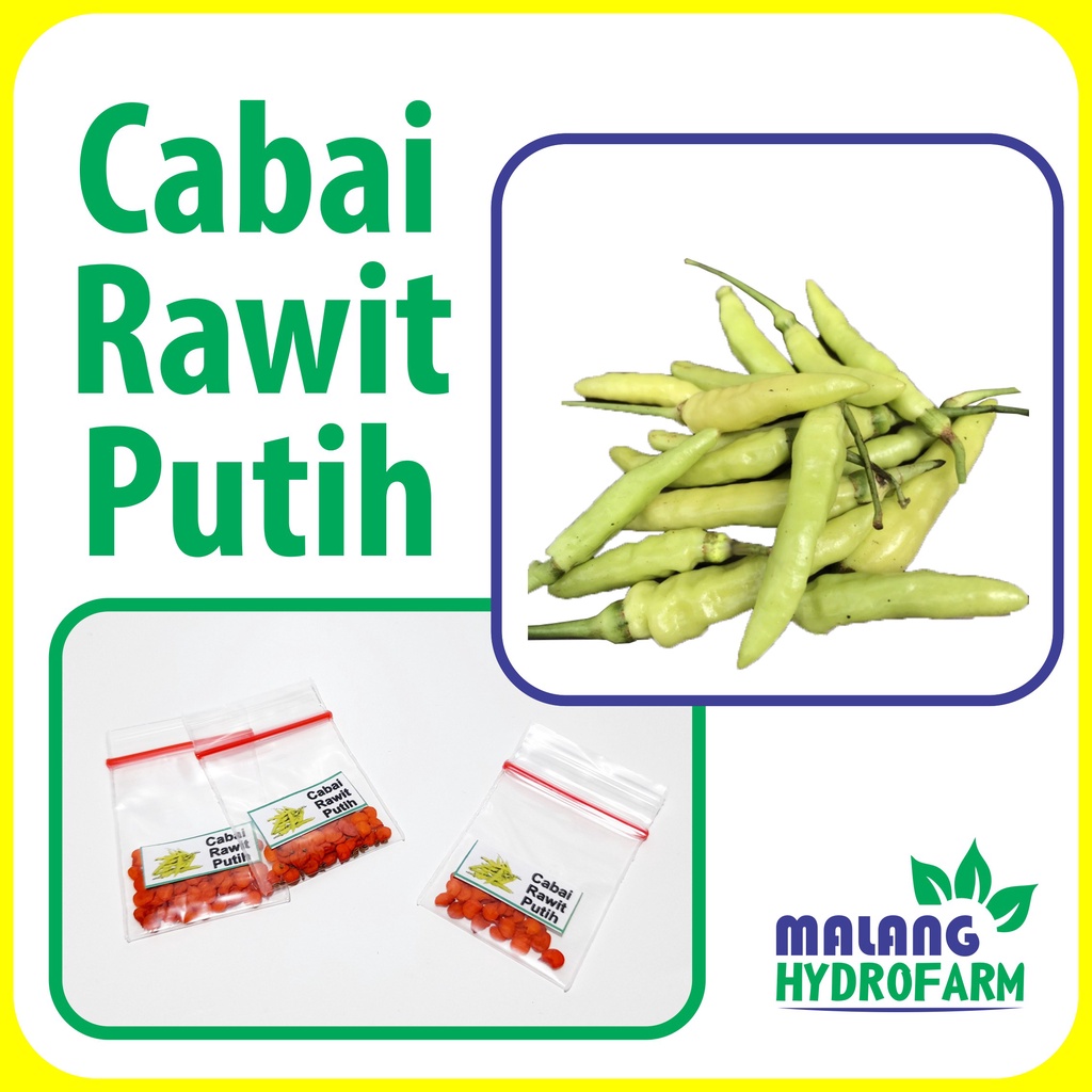 Jual Benih Cabai Rawit Putih Unggulan berkualitas biji bibit cabe ...