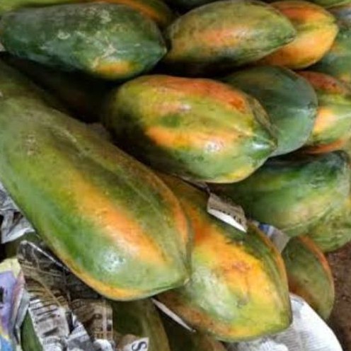 Jual Pepaya Bangkok min isi daging orange manis min berat 2 kg dalam ...