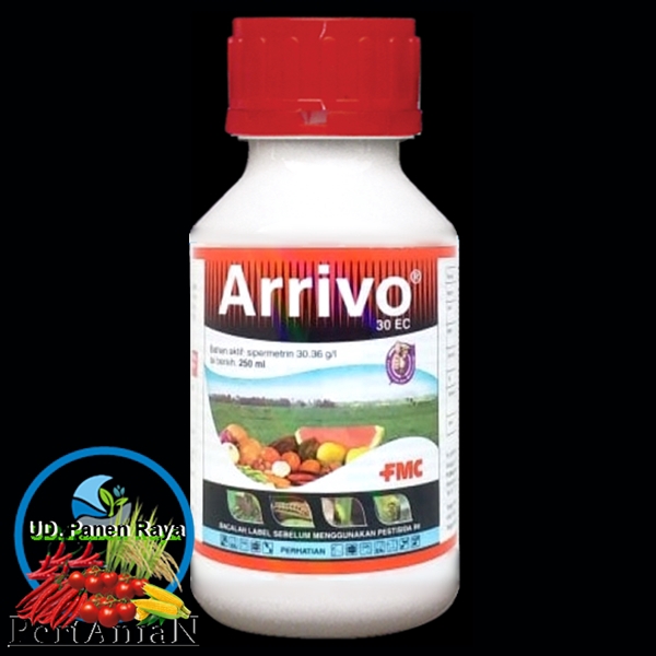 Jual obat Hama Tanaman Pertanian ARRIVO 30EC Insektisida Ampuh 100ml ...