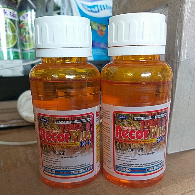 Jual RECOR PLUS 100 ML | Shopee Indonesia