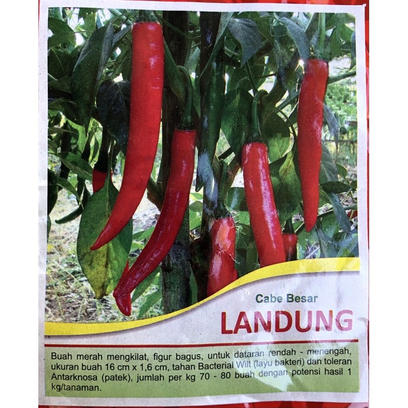 Jual Benih cabai besar (eceran/repack) | Shopee Indonesia