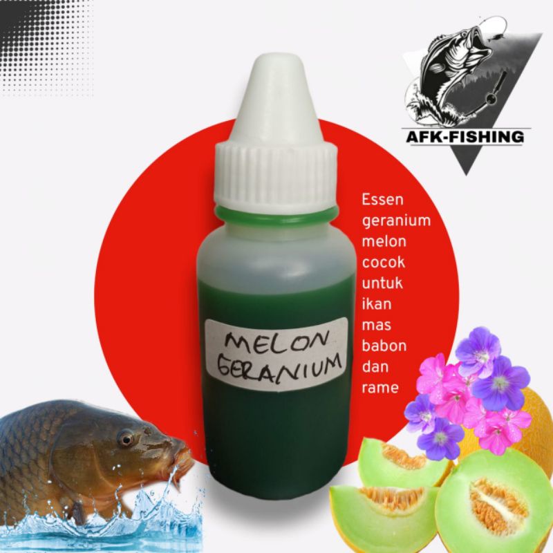 Jual Essen Melon Geranium Ikan Mas indukan paling bagus | Shopee Indonesia