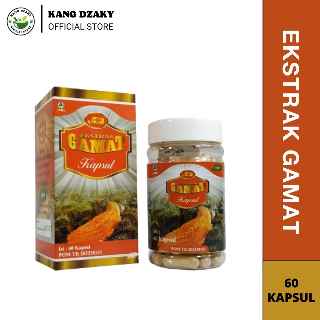 Jual Ekstrak GAMAT kapsul Syifa herbal Alami 60kpsl|Kapsul Gamat serbuk ...