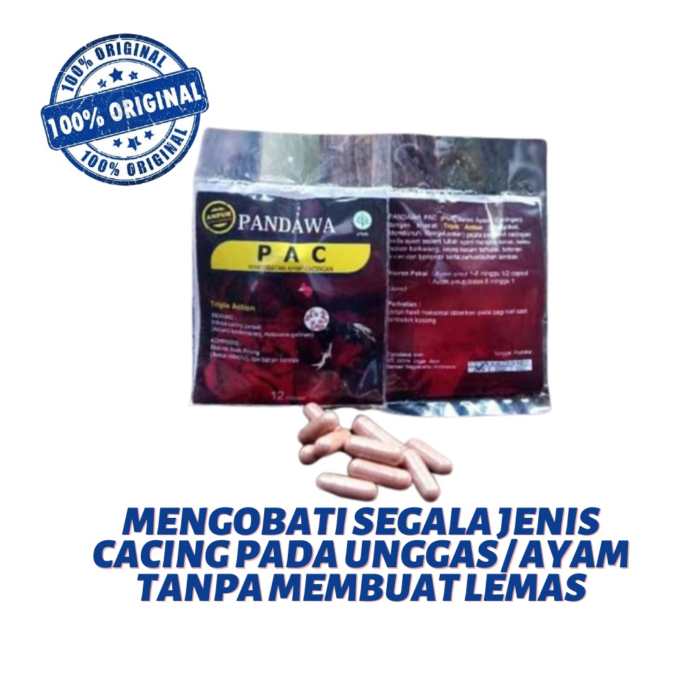 Jual PANDAWA PAC jamu ayam- obat cacing ampuh 12 kapsul | Shopee Indonesia