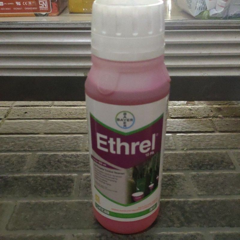 Jual ethrel 500ml | Shopee Indonesia