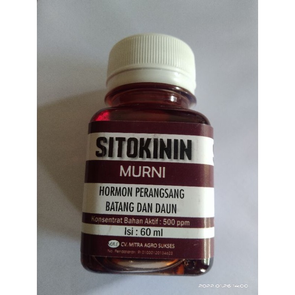 Jual SITOKININ MURNI HORMON PERANGSANG BATANG DAUN 60ml ZPT Zpt zpt ...
