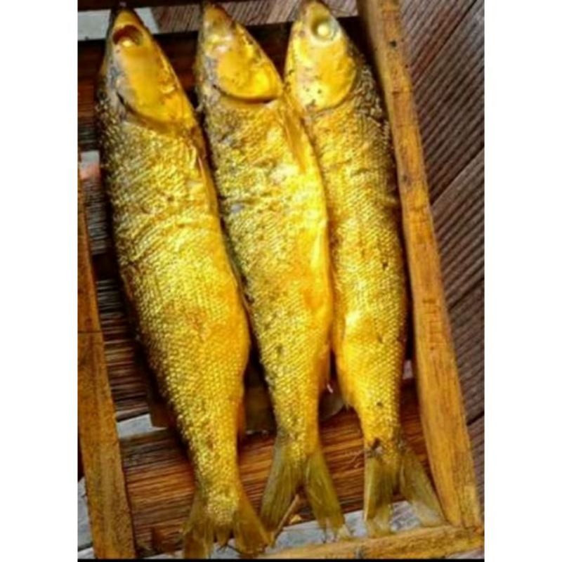 Jual Bandeng Presto 1 paket isi 3 Ekor Bandeng / Belanja Di Semarang ...