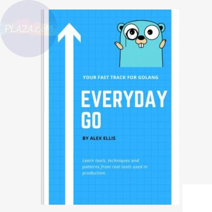 Jual Buku Everyday Go - The Fast Track for Golang | Shopee Indonesia