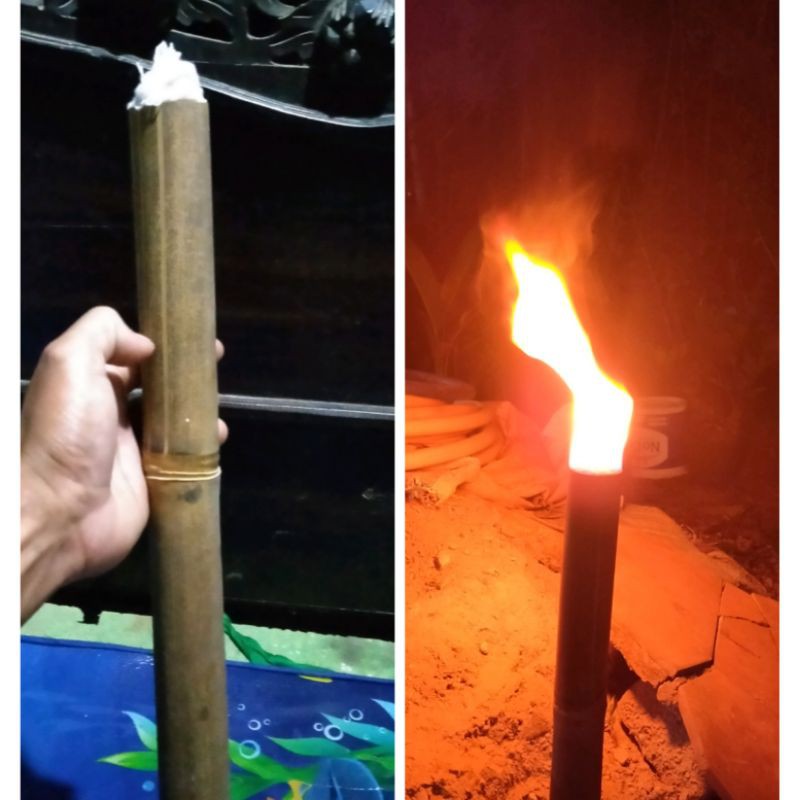Jual obor bambu | Shopee Indonesia