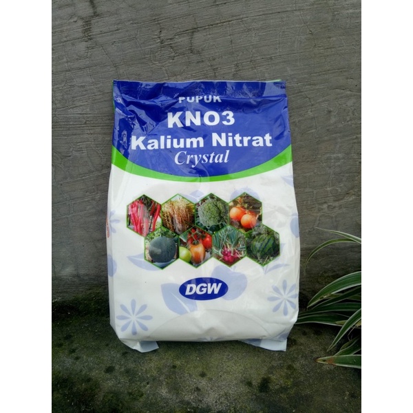 Jual Pupuk KNO3 Putih Kalium Nitrat kristal 1 kg | Shopee Indonesia