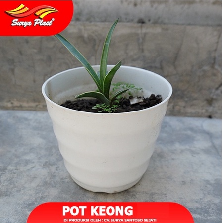 Jual POT KEONG 131 POT BUNGA POT KEMBANG POT TANAMAN POT MINI POT KECIL ...