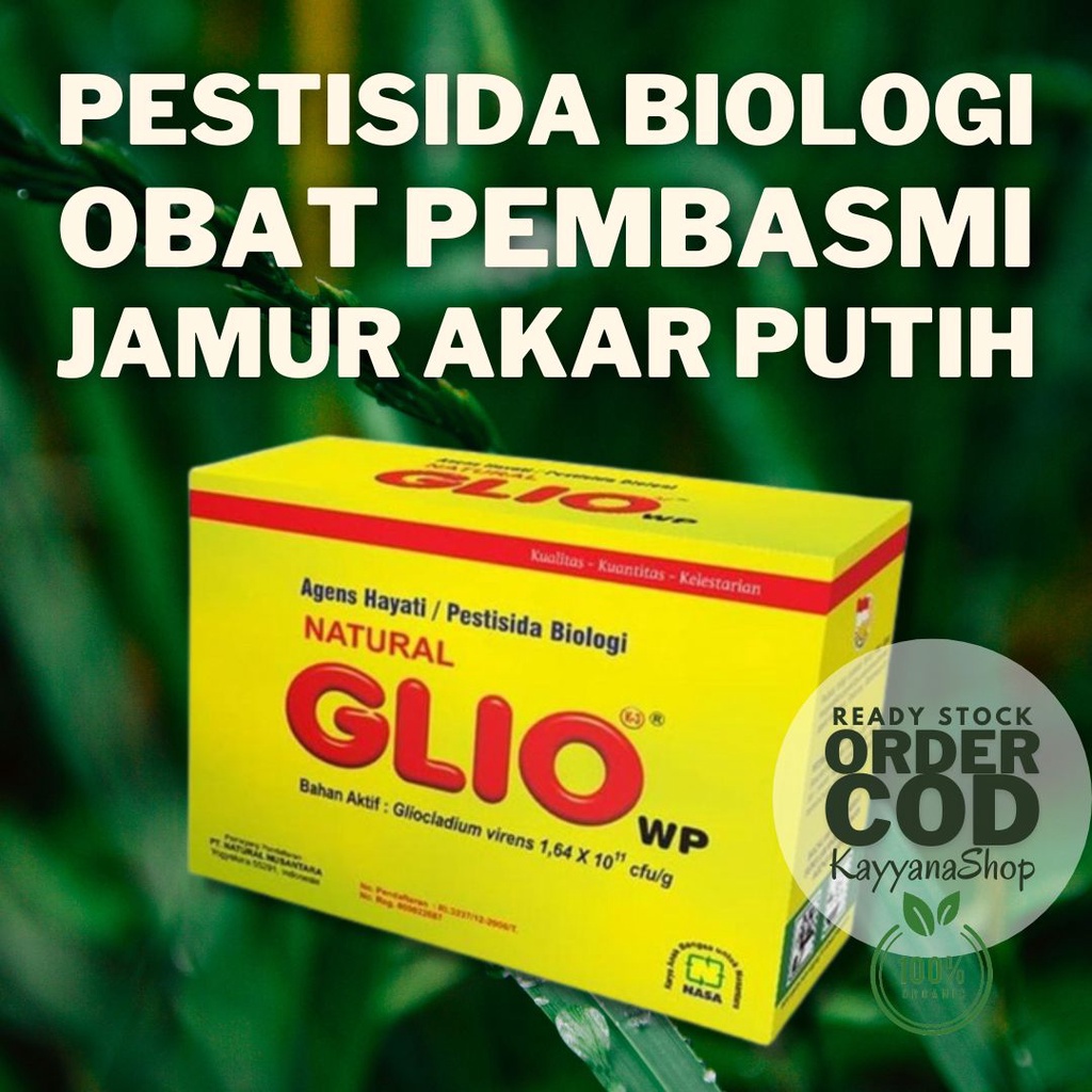 Jual GLIO Obat Jamur Akar Putih Fungisida / Pembasmi Jamur Akar Putih ...