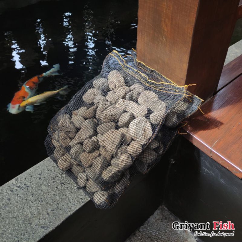 Jual Media Filter Kolam Koi Bio Filter Akuarium Mekanis Media Biologis ...
