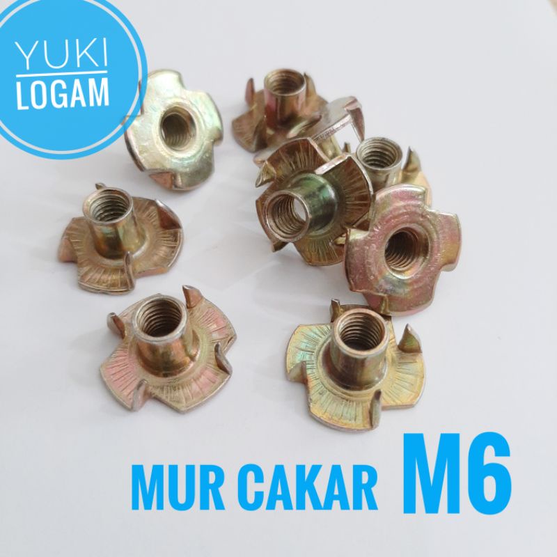 Jual Mur Cakar Tnut M6 | Shopee Indonesia