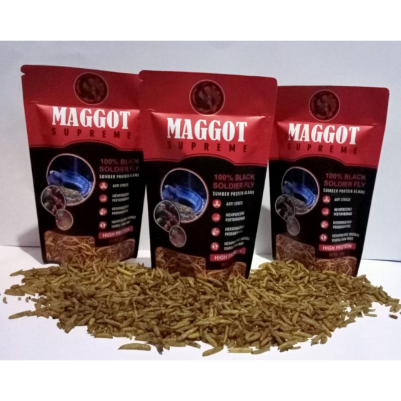 Jual MAGGOT KERING, DRIED LARVAE 50gram, MAGGOT SUPREME ,pakan ikan ...