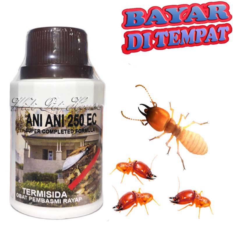 Jual ANTI RAYAP ANI ANI TERMISIDA RACUN SERANGGA JENDELA PINTU RUMAH ...
