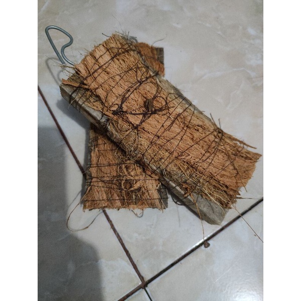Jual Media anggrek hoya papan kayu kualitas bagus | Shopee Indonesia