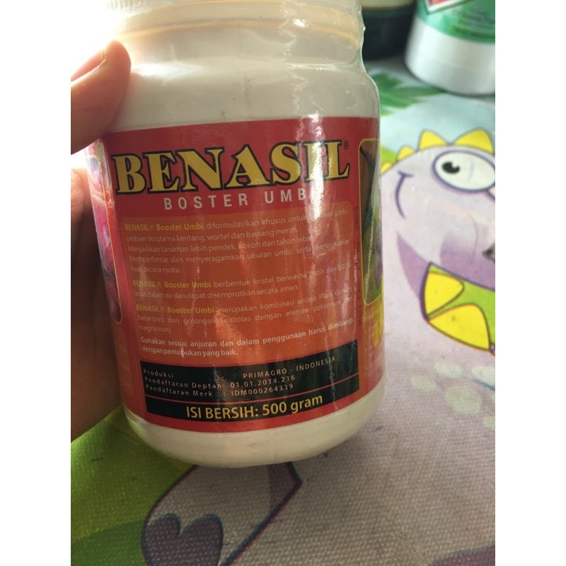 Jual benasil boster umbi ukuran 450 gram | Shopee Indonesia
