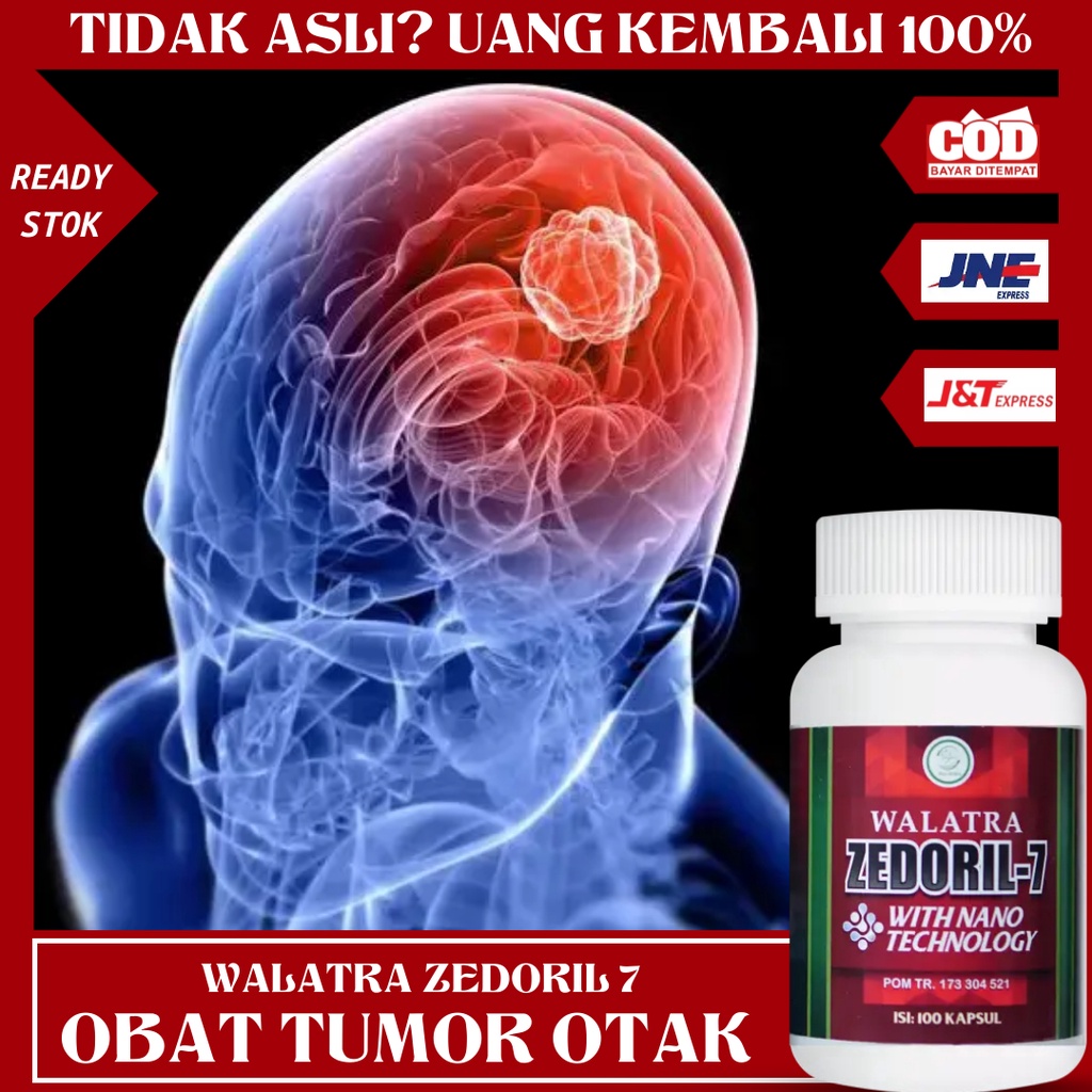 Jual Obat Tumor Otak - Walatra Zedoril 7 - 100% Original - Tanpa Efek ...
