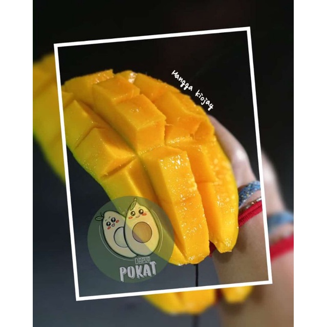 Jual Mangga Kiojay/Mangga Thailand/Buah Hijau/Buah Orange/Buah Manis ...