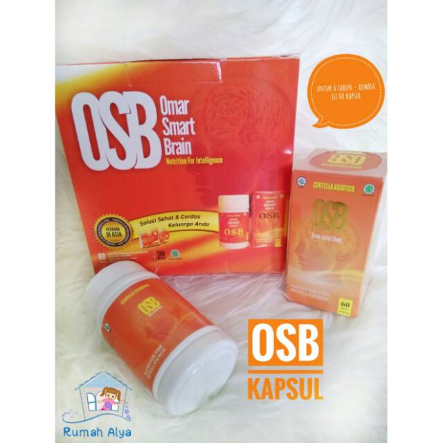Jual OSB (Omar Smart Brain) | Shopee Indonesia
