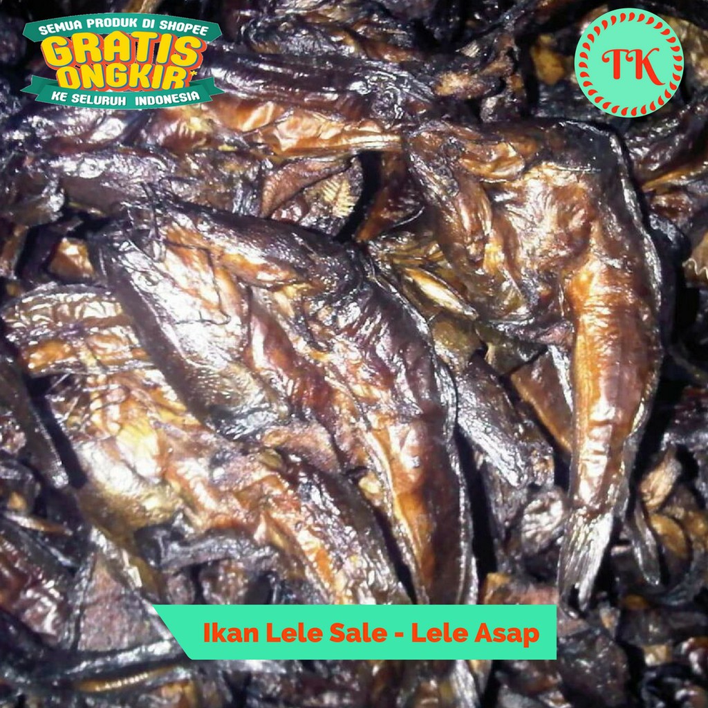 Jual 200 gr Ikan Lele / Limbat Sale (Asap) Kering Khas Sumatera Utara ...