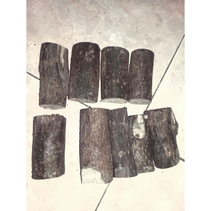 Jual Kayu lemo kayu penakluk ular asli gunung karang banten... | Shopee ...