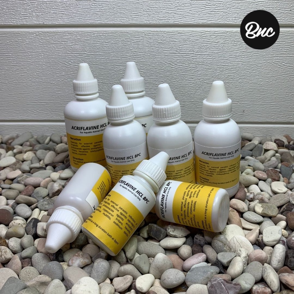 Jual Acriflavine HCL BPC Obat Kuning Ikan Hias Cupang Guppy Molly Obat ...