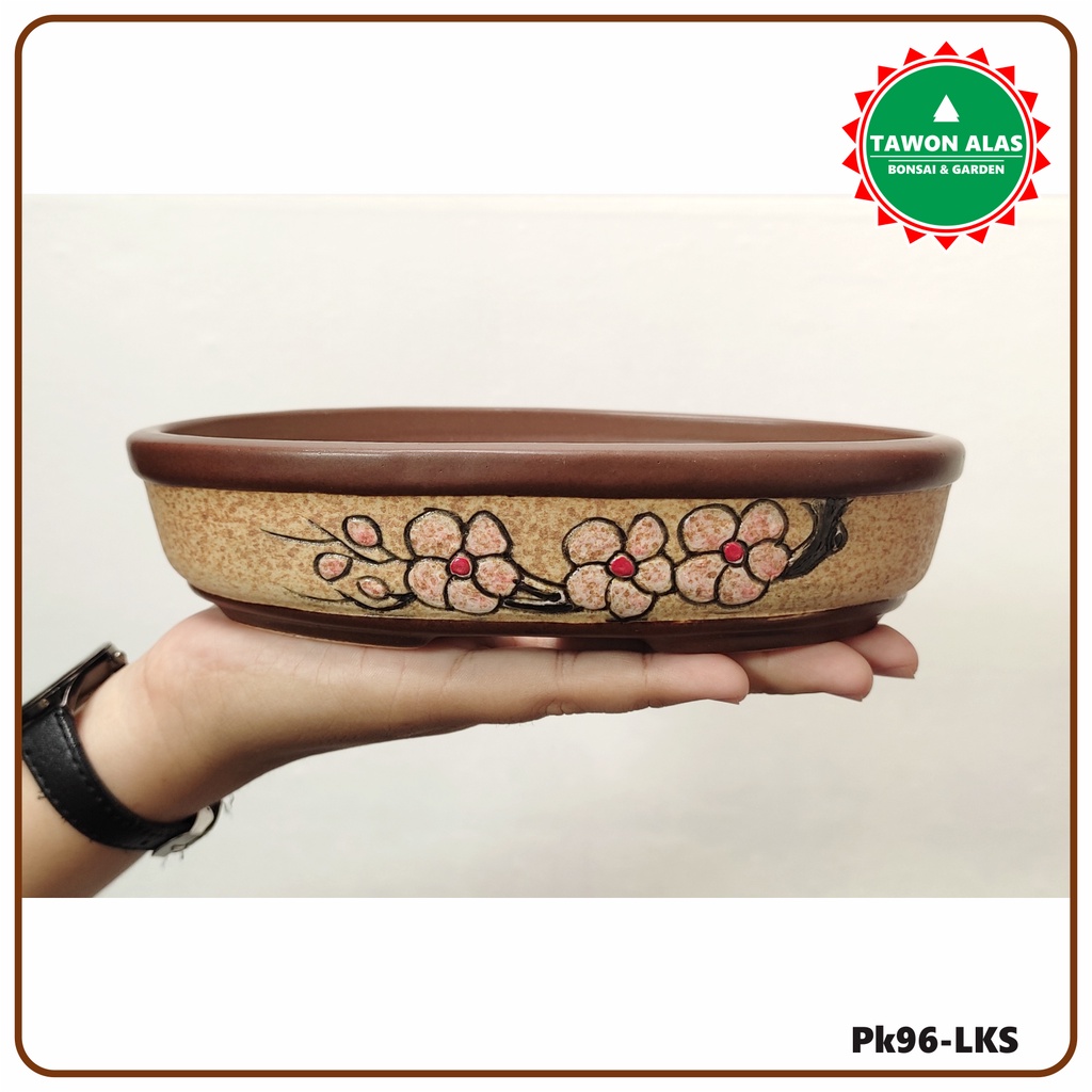 Jual POT BONSAI KERAMIK Mini Mame Sukulen Bunga Anggrek Kaktus Tanaman ...