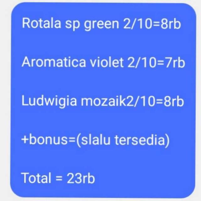 Jual Paket simple dan hemat tanaman stemp 60 batang | Shopee Indonesia