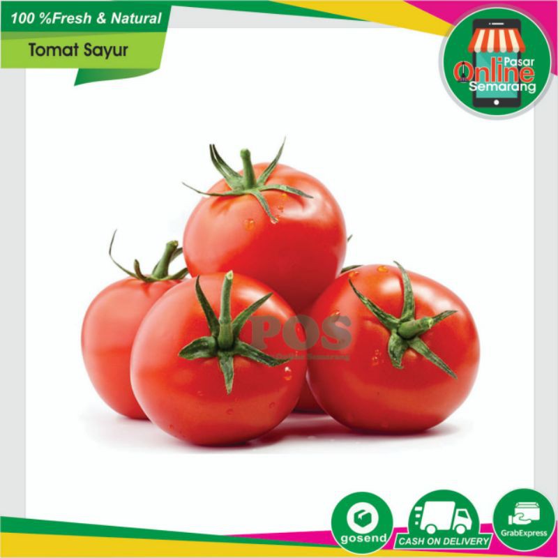 Jual Sayur Tomat / Sayuran Tomat / Buah Tomat / Tomato Fresh / Segar ...