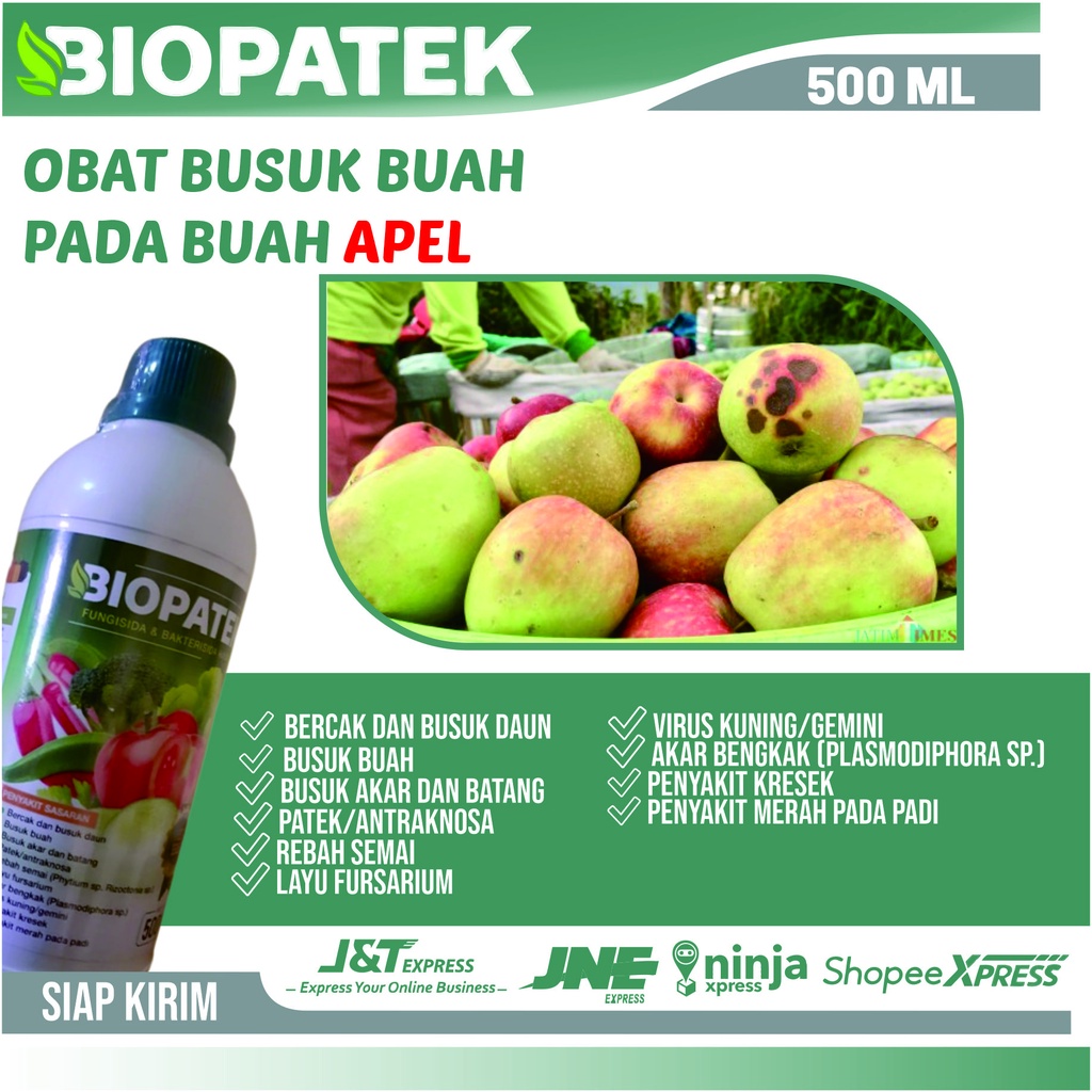 Jual BIOPATEK BAKTERISIDA dan Fungisida Hayati Obat Hama Patek ...