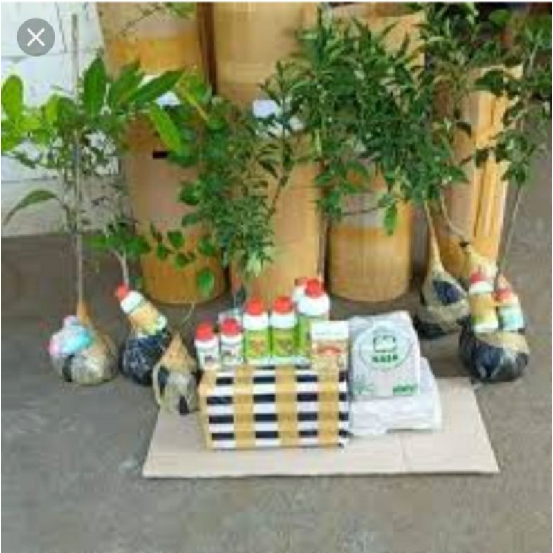Jual Biaya Packing Tanaman | Shopee Indonesia