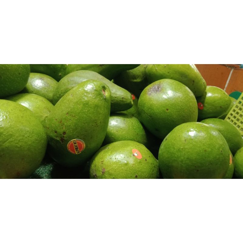 Jual Alpukat Mentega Ntt Super Avocado 1 kg | Shopee Indonesia